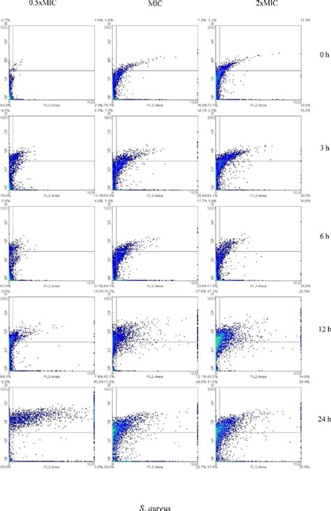 Flow Cytometry Dot Plots For S Aureus And B Subtilis Treated With Download Scientific Diagram