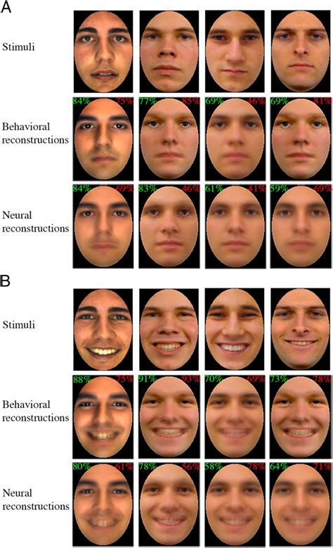 Feature Based Face Representations And Image Reconstruction From Behavioral And Neural Data Pnas