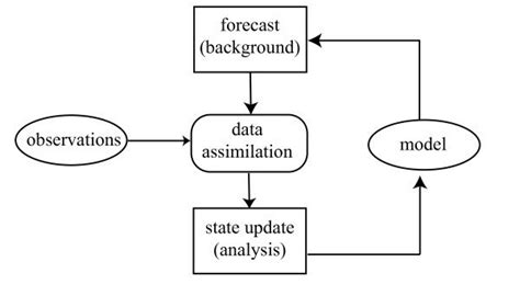 Schematic Illustration Of The Data Assimilation Procedure Download Scientific Diagram