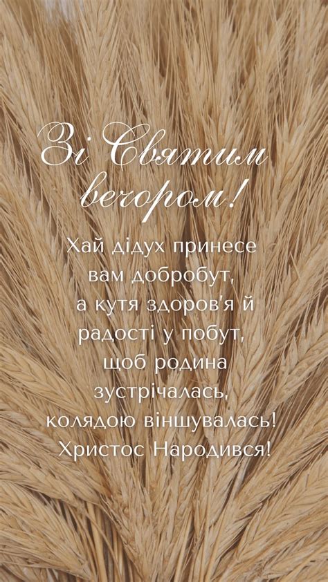 Привітання зі Святим Вечором 2024 Moonzori