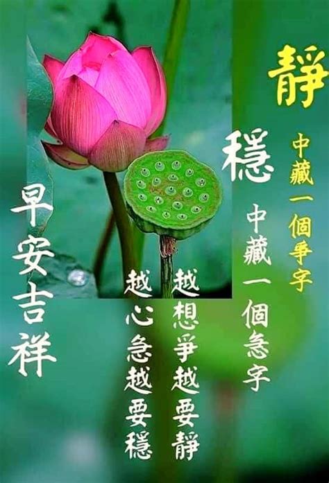 人生百态 【静】中藏一个争字 【稳】中藏一个急字