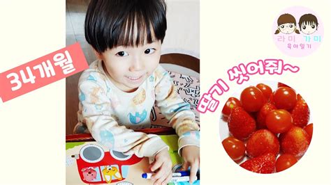 육아vlog 딸기가 먹고 싶은 가미 아이스크림보단 딸기 YouTube