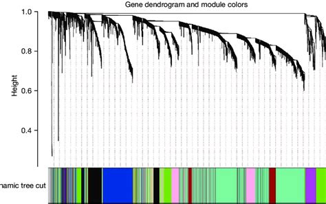Gene Clustering Tree And Module Partitioning Each Branch In The Figure