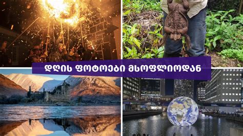 ლერწმის გომბეშო მცურავი დედამიწა და კილჩურნის ციხე 20 იანვრის დღის ფოტოები გურიის მოამბე