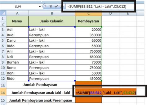 Fungsi SUMIF Excel Dan Contoh Penggunaannya