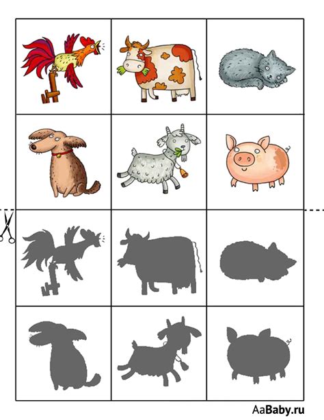 Домашние животные найди тень картинки