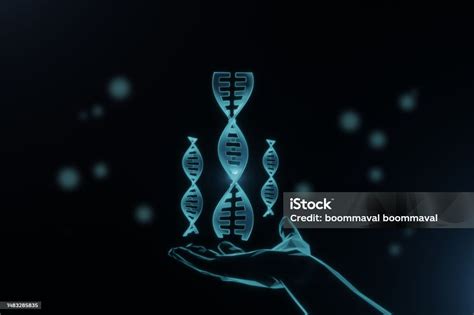 Dna를 들고 있는 홀로그램 손 검은 배경에 파란색 Dna 나선 유전자 또는 유전자 홀로그램 분자가 있는 생물학 개념 3d 그림 렌더링입니다 Dna 홀로그램 손 잡기 3차원