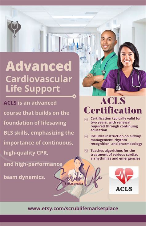 acls algorithm flashcards advanced life support healthcare acls