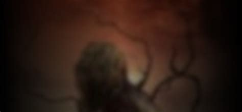 Sexiest The Cursed Nude Scenes Top Pics And Videos Mr Skin