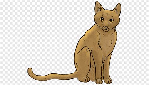 สุนัขและแมว โคราช หนวด เดาสุ่ม เรดฟอกซ์ อุ้งเท้า ตัวละคร เอเชีย พม่า Png Pngegg