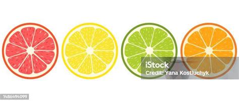 감귤 슬라이스의 벡터 세트입니다 자몽 오렌지 리모네 라임 아이콘 벡터 그림 과일에 대한 스톡 벡터 아트 및 기타 이미지 과일 슬라이스 벡터 Istock