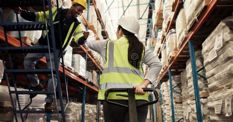 Team Smile And Fist Bump In Warehouse For Logistics Loading Bay Or Greeting With Trolley