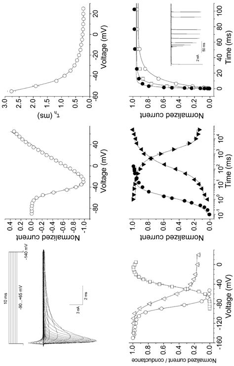 Whole Cell Recordings Of Sodium Currents On Hek Cells Transiently Or