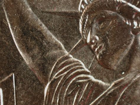 Macro Photography Sensor Format — Thomas Eisl Avantgarde Photography