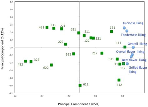 Beef Flavor Attributes And Consumer Perceptions