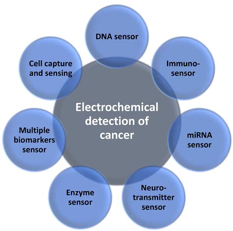 Biosensors Free Full Text Conducting Polymers As Versatile Tools For The Electrochemical