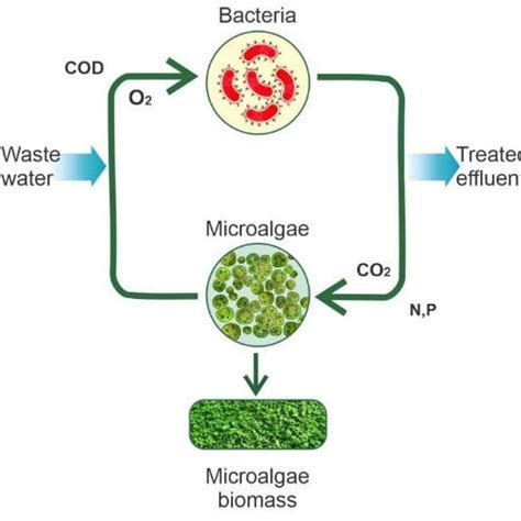 Pdf Progress On Conventional And Advanced Techniques Of In Situ Transesterification Of