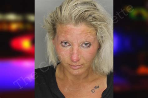 Jessica Shedd Cobb County Jail Bookings