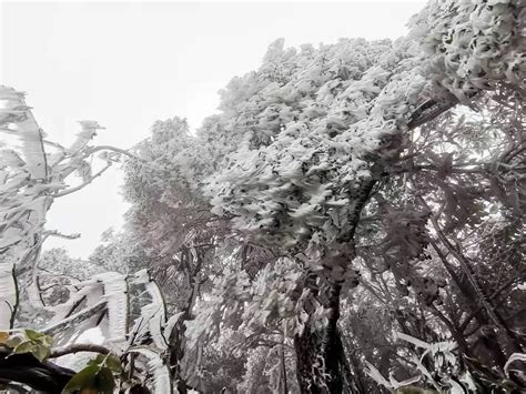 乐昌天堂村冰挂景色如画 韶关发布