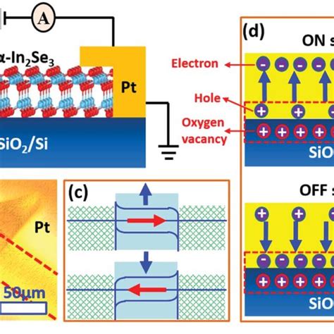 PDF Resistive switching behavior in α In Se nanoflakes modulated by ferroelectric