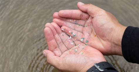 Microplastics Analysis Methodologies Selecting The Right Approach Sustainable Plastics