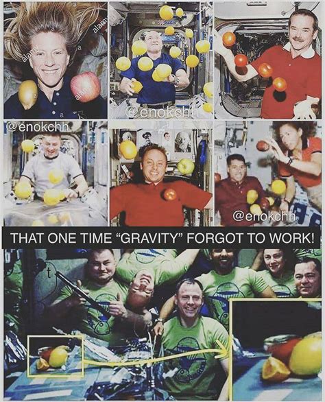 Lois 💜q👍👍👍 On Twitter 曾经重力忘了工作 🌎🚀👨‍🚀📺