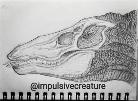 How To Draw Skull Crawler