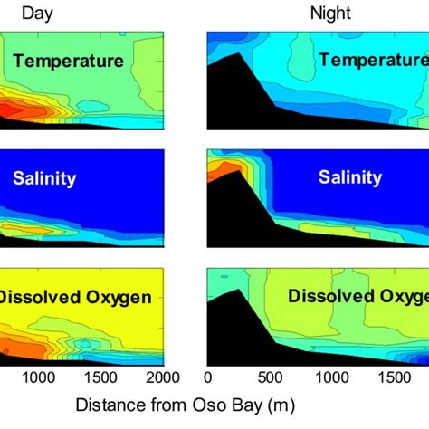 Typical Evolution Of Temperature Salinity And Dissolved Oxygen From