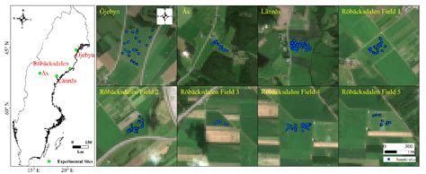 Remote Sensing Free Full Text Forage Biomass Estimation Using Sentinel 2 Imagery At High