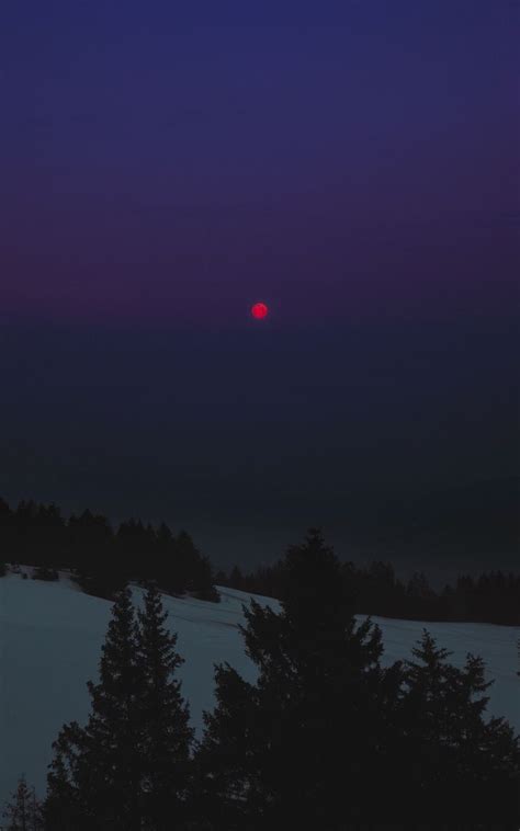 Wallpaper winter night landscape trees moon dark Живописные пейзажи Пейзажи Фоновые рисунки