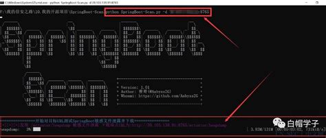 多功能burpsuite漏洞探测插件—tsojanscan Cn Sec 中文网