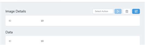 Edit Delete And Action Buttons Missing From Details Page When Using All