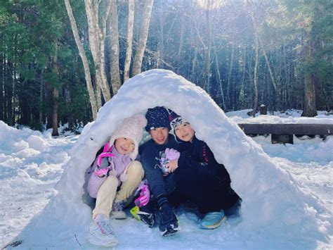 雪が積もりました PICA富士吉田