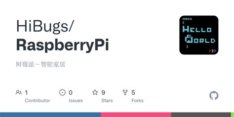 Github Hibugs Raspberrypi