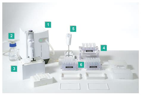 Easy And Robust Automated Sample Preparation And Extraction For LC MS MS Bioanalytical Workflows