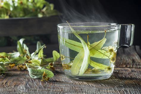 소박한 테이블에 린든 꽃과 린든 차 또는 피는 틸리아의 유리 컵 뜨거운 음료 겨울 허브 차 개념 참피 나무에 대한 스톡 사진 및 기타 이미지 Istock