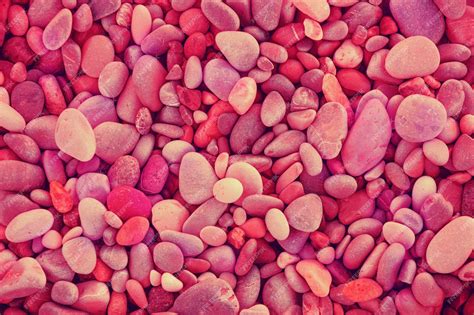 추상 자연 자갈 배경 붉은 자갈 질감 돌 배경 비바 마젠타 컬러 토닝 바다 자갈 해변 프리미엄 사진