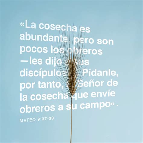 Que Significa La Mies Es Mucha En La Biblia Interpretación Y