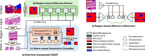 Bridging Classification And Segmentation In Osteosarcoma Assessment Via Foundation And Discrete