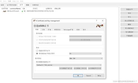 通过开源工具xca工具签发和管理可被浏览器信任的ssl证书 x certificate and key management csdn博客
