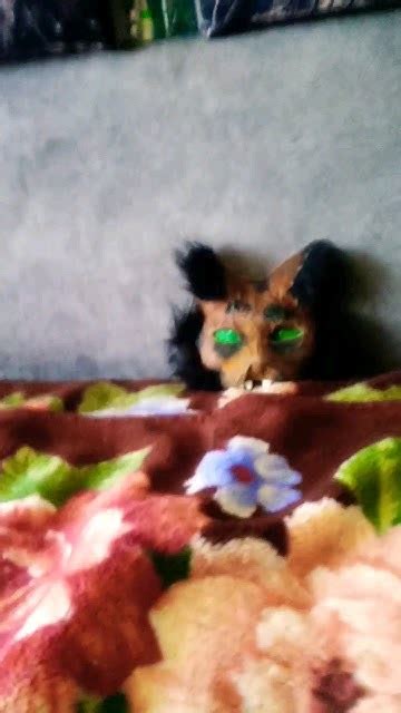 Тренд для операторов Youtube