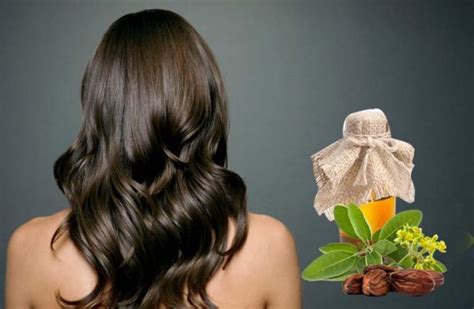 Proven Jojoba Oil Benefits For Skin And Hair Learn How To Use Jojoba Oil