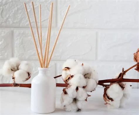 Homemade DIY Reed Diffuser Designs For Fresh Scents