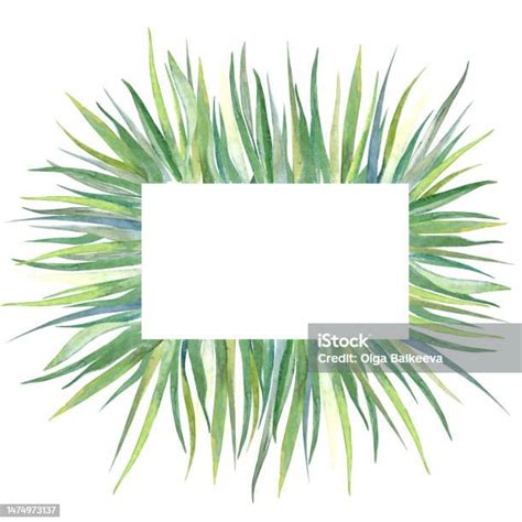 여름 푸른 잔디가 있는 수채화 식물 직사각형 프레임 화환은 초대장 카드 및 기타 프로젝트에 적합합니다 0명에 대한 스톡 벡터 아트 및 기타 이미지 Istock