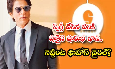 Shahrukh Khan స్విగ్గీ చేసిన పనికి షాకైన షారుఖ్ ఖాన్ నెట్టింట