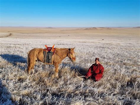 Сүхбаатар сумын адуучин Б Сүхдорж “Монгол Улсын аварга адуучин” боллоо Isee Mn