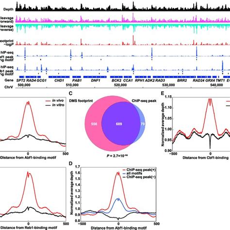 Application Of Dms Seq To Human Cells A Dms Seq Patterns Around Download Scientific Diagram