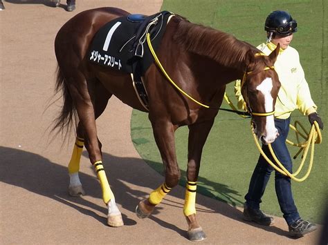メジャーアスリート ヒヤシンスステークス 2012年2月18日（土） 1回東京7日 サラ系3歳1600mダート・左 Flickr