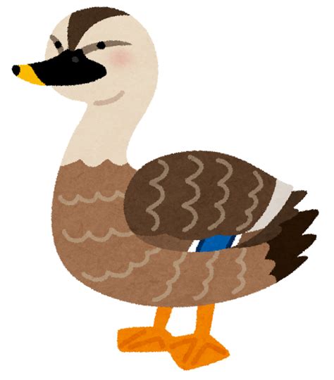 カルガモのイラスト かわいいフリー素材集 いらすとや