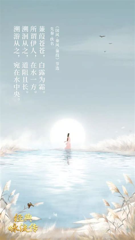 蒹葭古诗配图蒹葭图片蒹葭图片第10页大山谷图库
